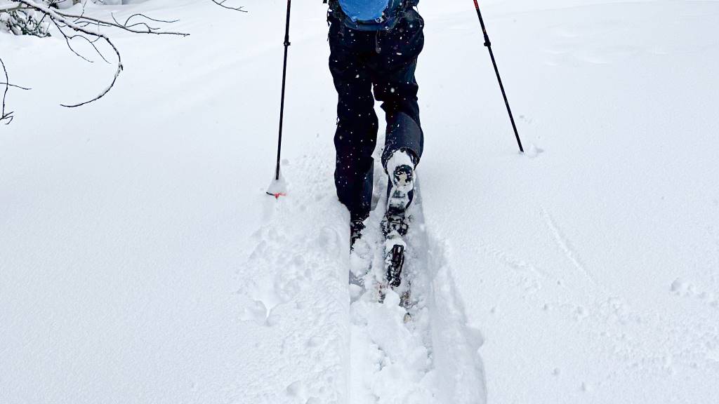 TEKDAPTERS Alpine Touring Adapter by Daymaker Touring | DAYMAKER TOURING